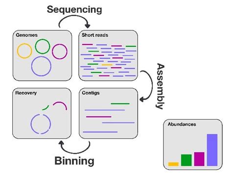 intro to metagenomic binning