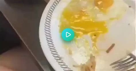 This Should Be Fucken Illegal Album On Imgur