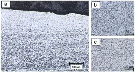 E Optical Micrograph Of The Surface Microstructure A Cross Sectional Download Scientific