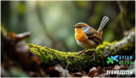 Winter Wren Identification Habitat Diet And Behavior Guide