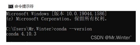 Anaconda安装与Python虚拟环境配置保姆级图文教程 附速查字典 阿里云开发者社区