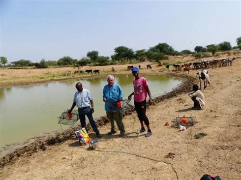 The Diverse Biodiversity Of Eritrea Is A National Treasure Eritrea