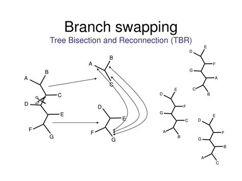 Ppt Tree Searching Methods Powerpoint Presentation Free Download