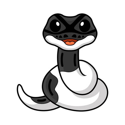 Cute Panda Pied Ball Python Cartoon 22431702 Vector Art At Vecteezy