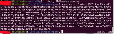 ubuntu 安装 beyond compare 安装 卸载 破解 永久使用 beyond compare ubuntu csdn博客