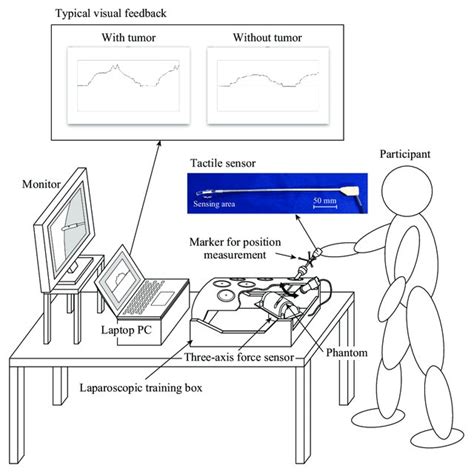 Setup Of The Psychophysical Experiment Conducted In Our Previous