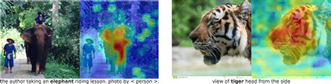 Figure 7 From Multimodal Masked Autoencoders Learn Transferable