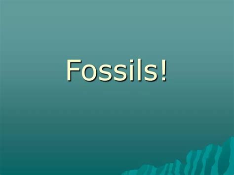 PPT Fossils PowerPoint Presentation Free Download ID