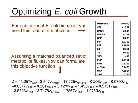 Ppt Introduction To Steady State Metabolic Modeling Powerpoint Presentation Id3372565