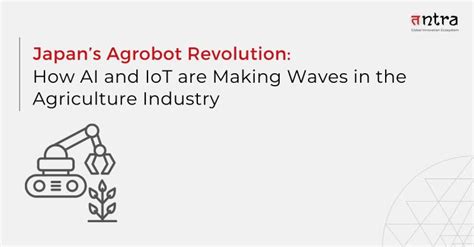 Japans Agrobot Revolution How Ai And Iot Are Making Waves In The