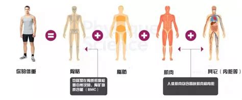什么鬼？为什么我越练越重？！ 知乎