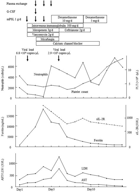 Successful Recovery From Severe Fever With Thrombocytopenia Syndrome And Hemophagocytic