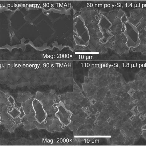 Etch Pit Distribution Determined By Sem Indicating That Etch Pits Form Download Scientific