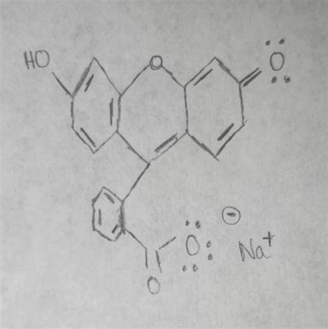 Solved Can Someone Show All Resonance For This Structure And Chegg Com