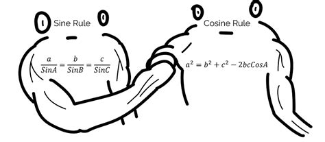 Csec Mathematics Sine And Cosine Rule