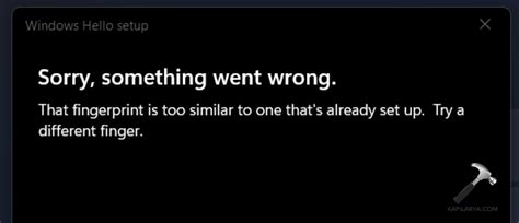 that fingerprint is too similar error in windows 11
