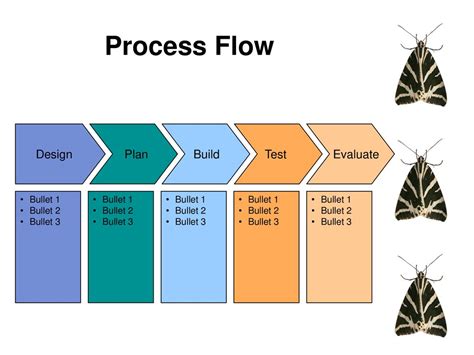 Moth Template Your Name Ppt Download