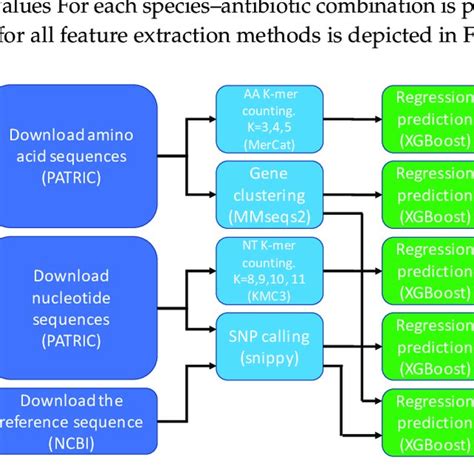 Overall Pipeline For All Feature Extraction Methods Download Scientific Diagram
