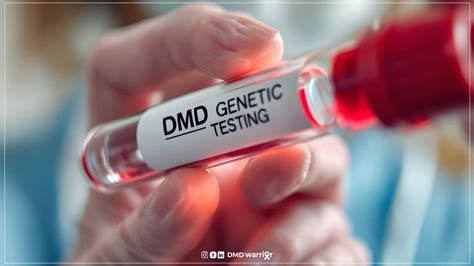 Dmd Genetic Testing 20 Things You Should Definitely Know Dmd Warrior