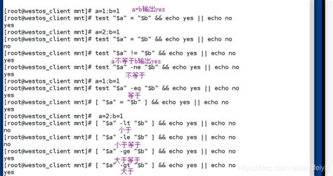 Shell基本命令以及正则表达式sh└┐ ┌┘中合 Csdn博客