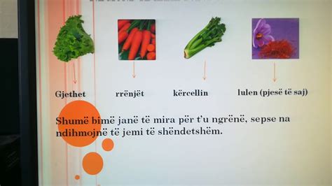 Pjesët E Bimës Pjesa E Dytë Youtube