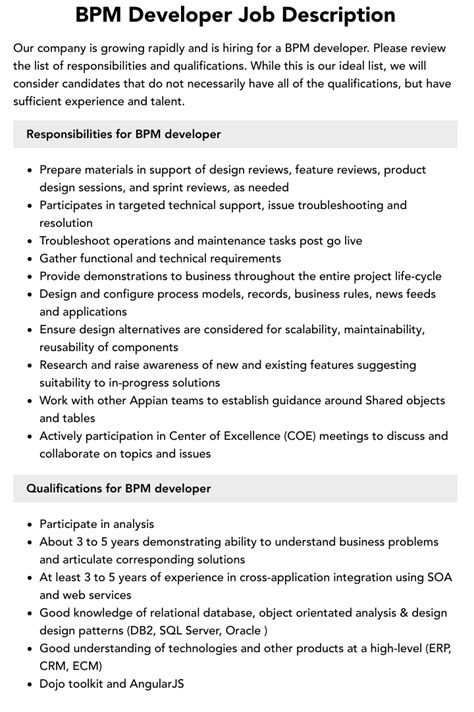 Bpm Developer Job Description Velvet Jobs