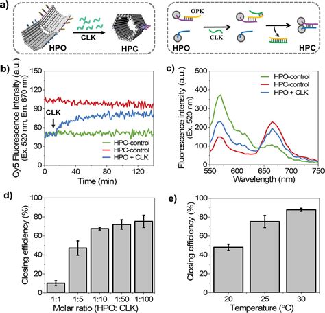 Dynamic Assembly Of Cascade Enzymes By The Shape Transformation Of A