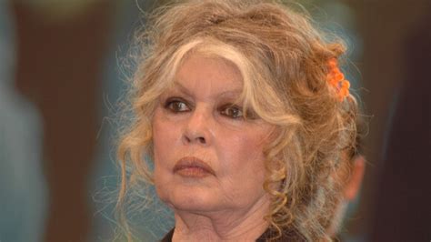 Photo Brigitte Bardot Dans Le Film Pout Is Back Purepeople