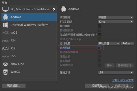【100个 Unity踩坑小知识点】 Unity中的 Development Build 详细解析unity Development