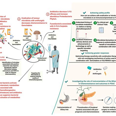 Highlighting Left Current Findings And The Potential Roles Microbiome