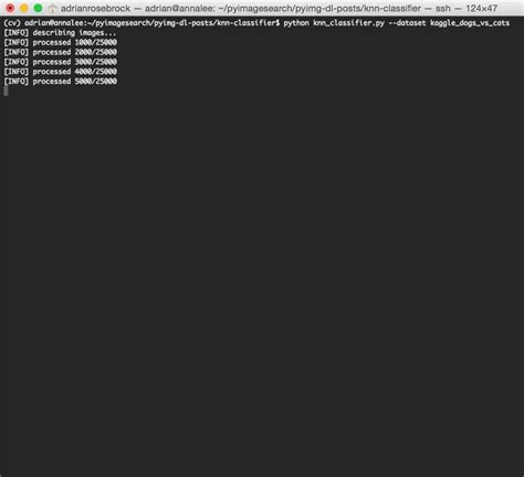 K Nn Classifier For Image Classification Pyimagesearch