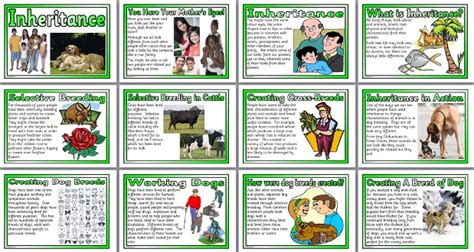 Inheritance Inheritance Ks2