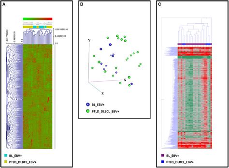 Gene And Mirna Expression Analysis Of Ebv Bl And Ebv Ptld Dlbcl Download Scientific Diagram