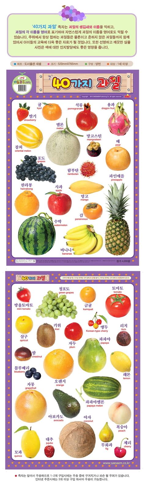 40가지 과일 벽보 새샘 편집부 교보문고
