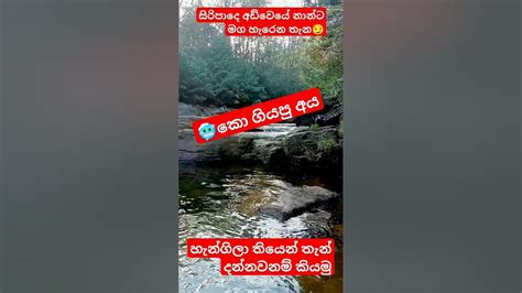 😏කවුරුත්ම නැති වේලාවට එතන🤗🥶සීතලයි නම් තමා එත් මෙතන තමා හොදම තැන😱ගියපු අය කො🇱🇰 Srilanka Travel