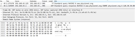 DNS Response In Frame For The DNS Query In Frame Download Scientific Diagram
