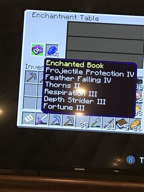 One Level 30 Enchantment Give Me This R Minecraft