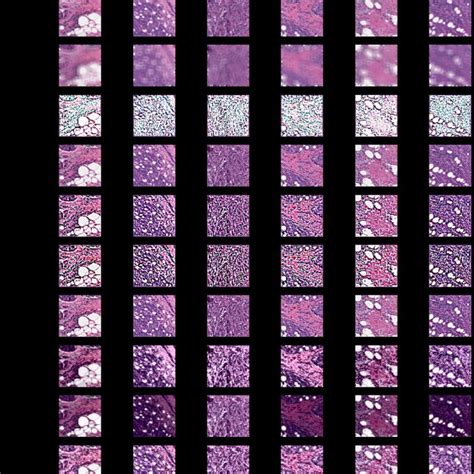 Some Examples Of How Filters Act On Different Images Download