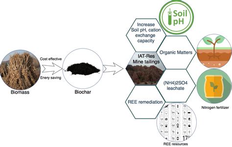 Application of Biochar for Ion-Adsorption of Rare Earth Contaminated Soil Remediation: A Review