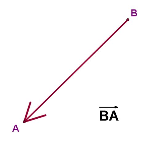 Orientation Vector At Collection Of Orientation