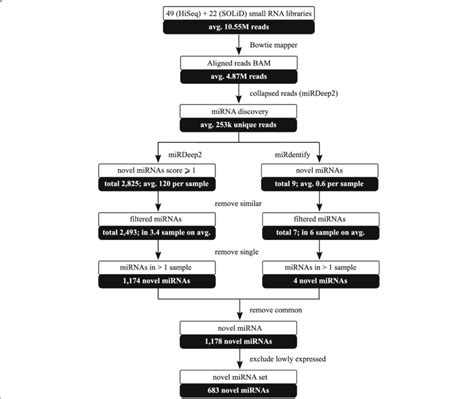 Workflow Of The Mirna Discovery Analysis The Steps Taken For The