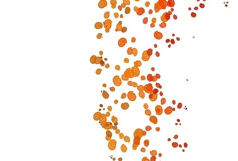 Light Orange Vector Template With Lines Ovals 9913750 Vector Art At