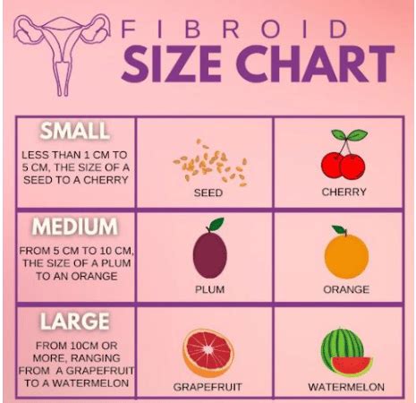 Uterine Cavity Normal Size