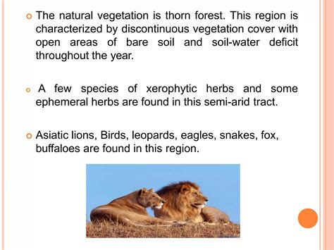 Biogeographical Classification Of India Pptx Asia Travel Travel