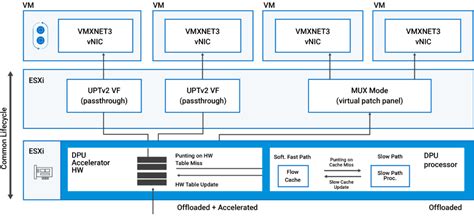 Dpu Acceleration Model Dpus In The New Vsphere 80 And 16th