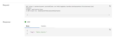 Query And Path Parameters In Ibm Api Connect