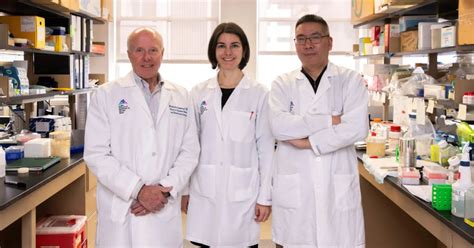 New Diabetes Treatment Success Breakthroughs Transforming Lives In 2025