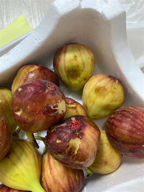 유명산지 무화과 국산 1kg 박스 배민스토어