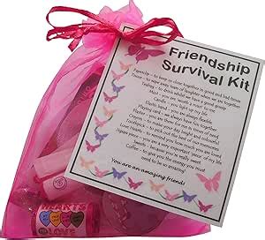 Smile Ts Uk Friendship Survival Kit Novelty T For A Friend