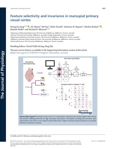 pdf feature selectivity and invariance in marsupial primary visual cortex